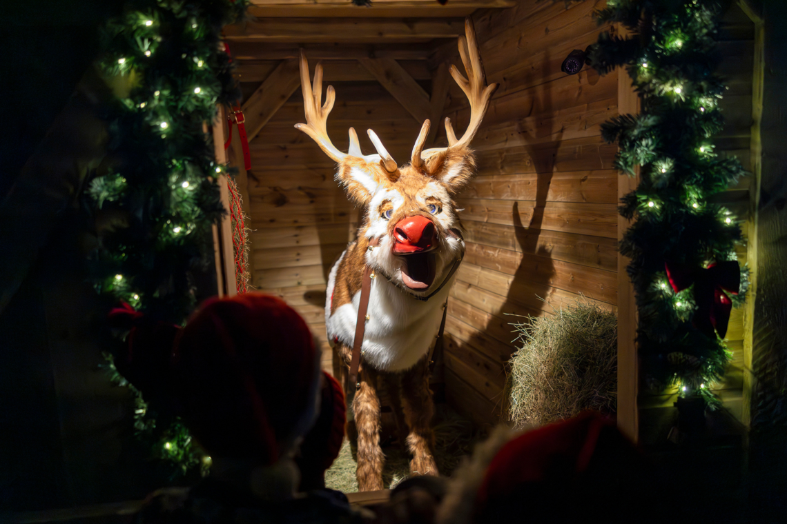 What’s In Our Magical Santa Experience? | Stockeld Park
