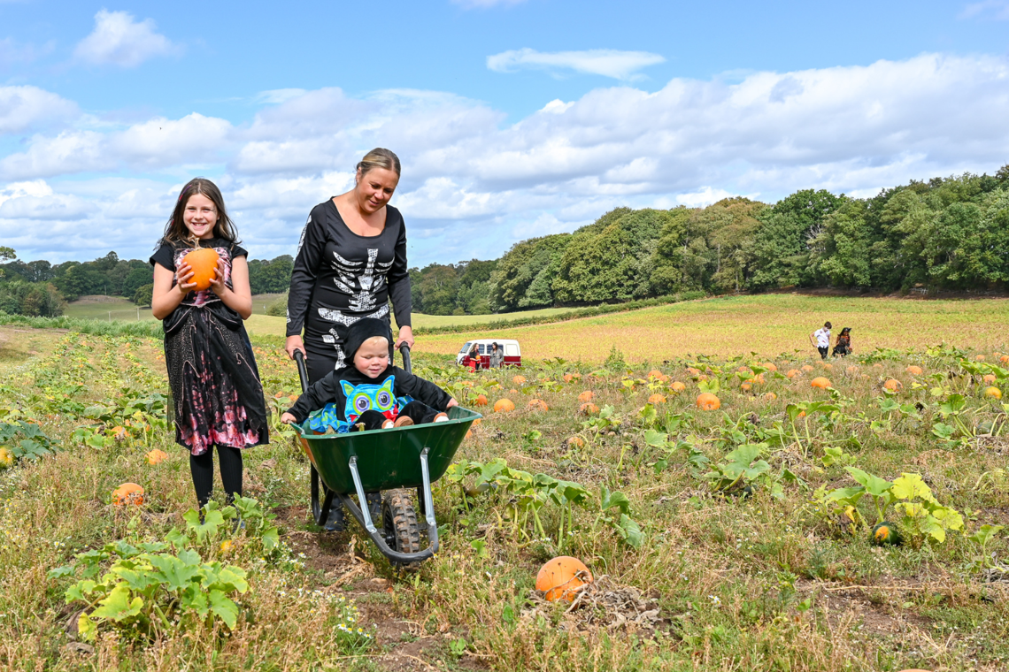 Top Half-Term Halloween Activities at Stockeld
